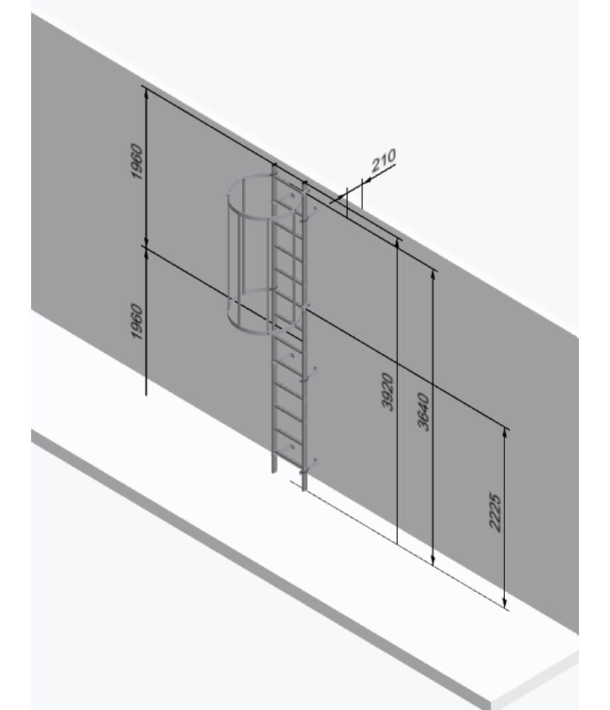 Fixed Vertical Ladders - Murdoch International