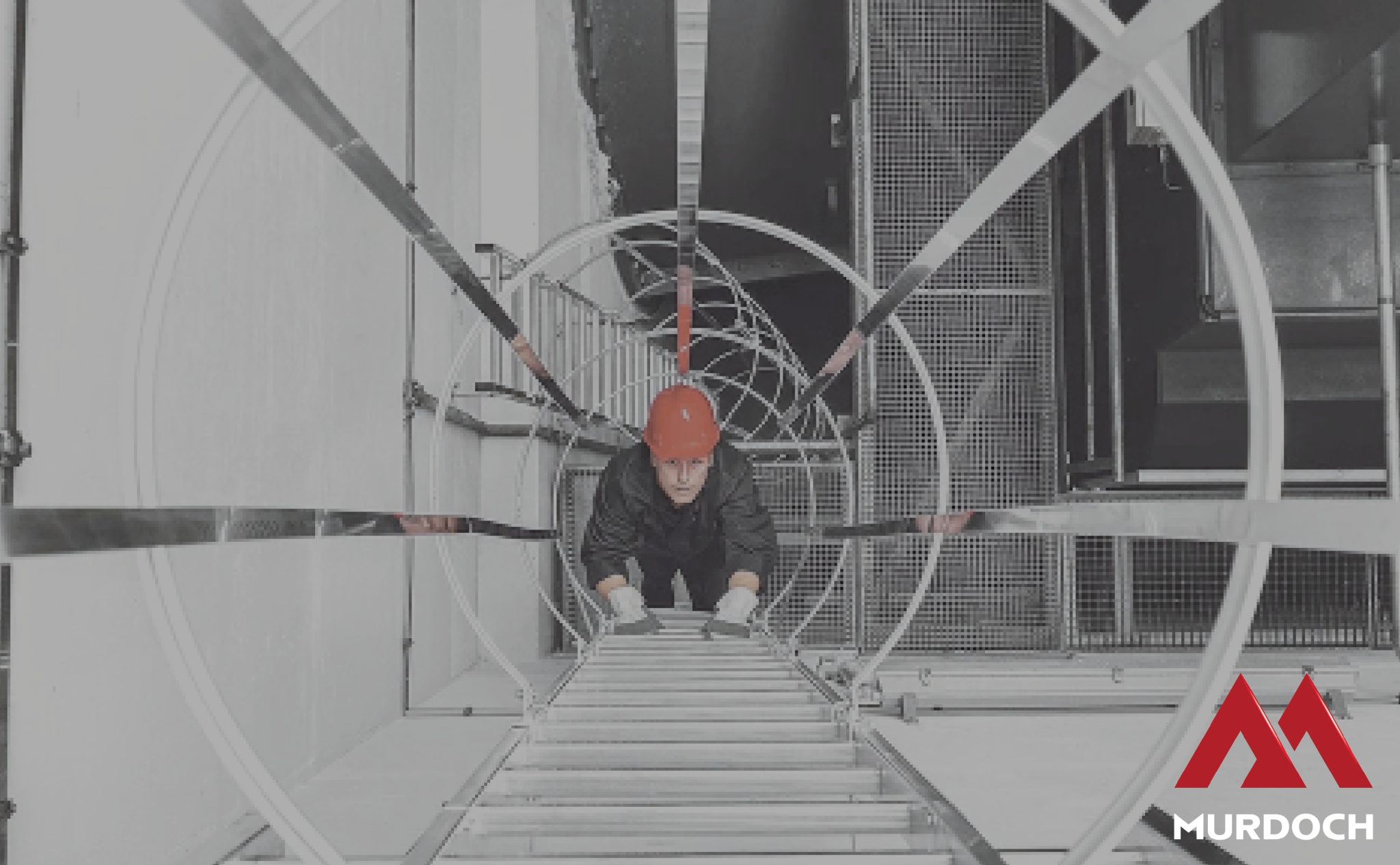 What is a Fixed Ladder - Everything you need to know.